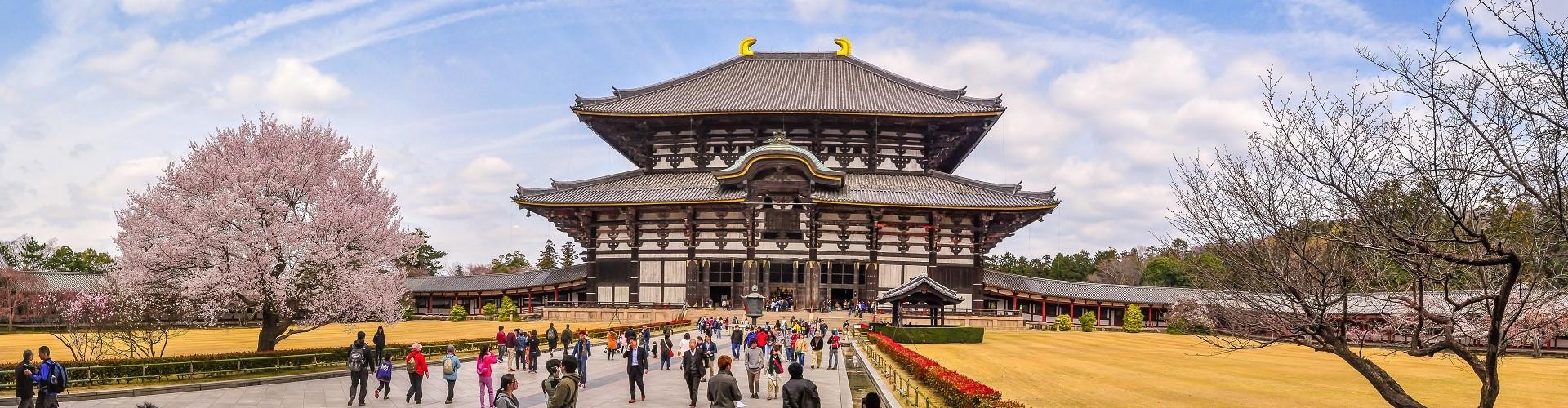 Free Walking Tour Nara auf Deutsch - Beste Stadtführungen Nara